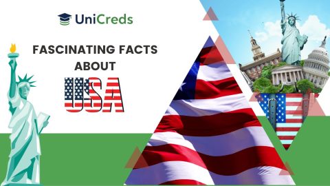 Interesting Facts About USA: Explore the Fascinating Side of America ...